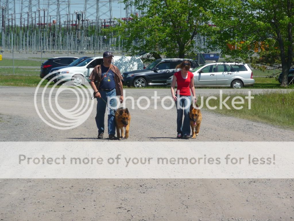 Are 3 days weekend in pictures!!! | German Shepherds Forum