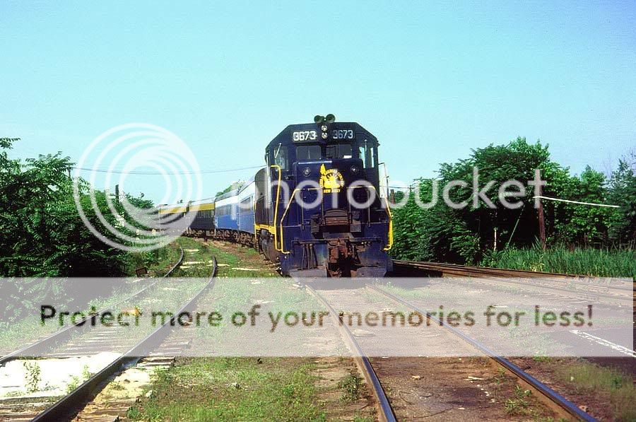 CNJ "Mermaid" question