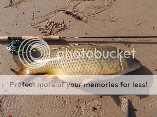 » Topic: Guideline/IA Biggest Fish Contest Winners!