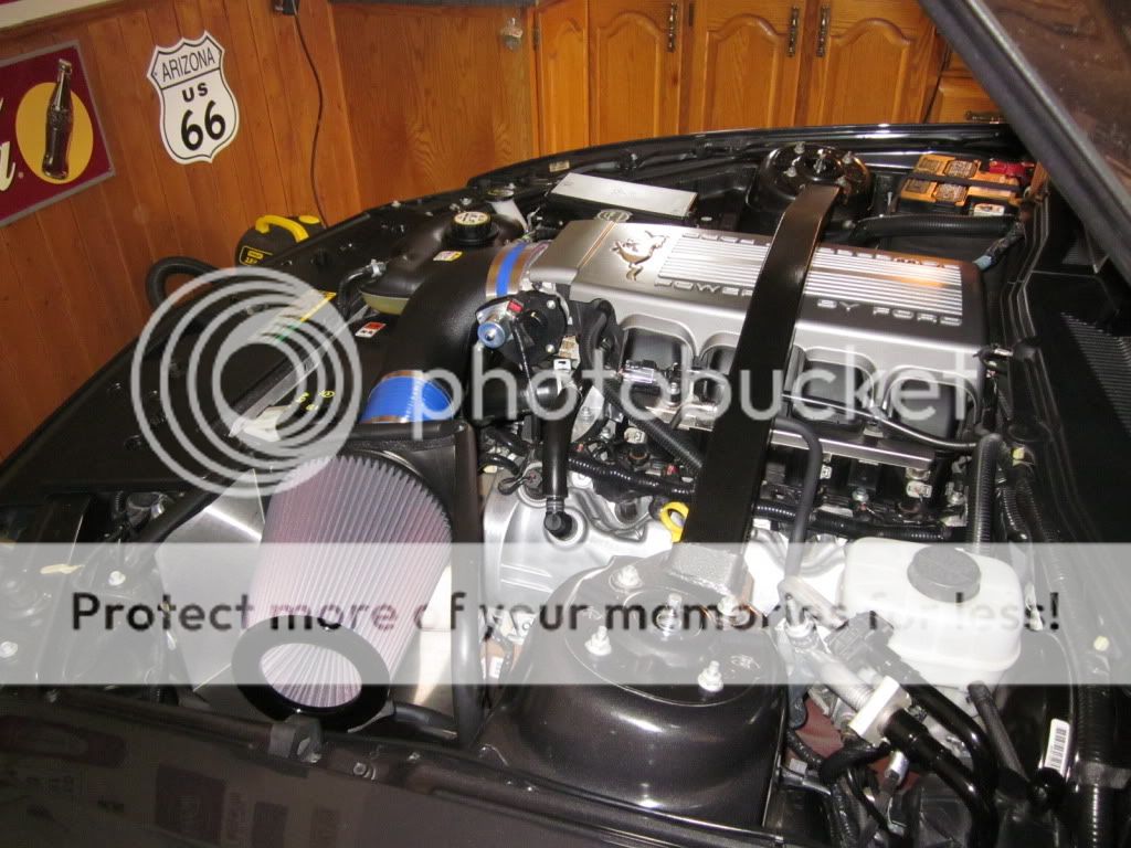 Cleaned the engine bay | S197 Mustang Forum - S197Forum.com