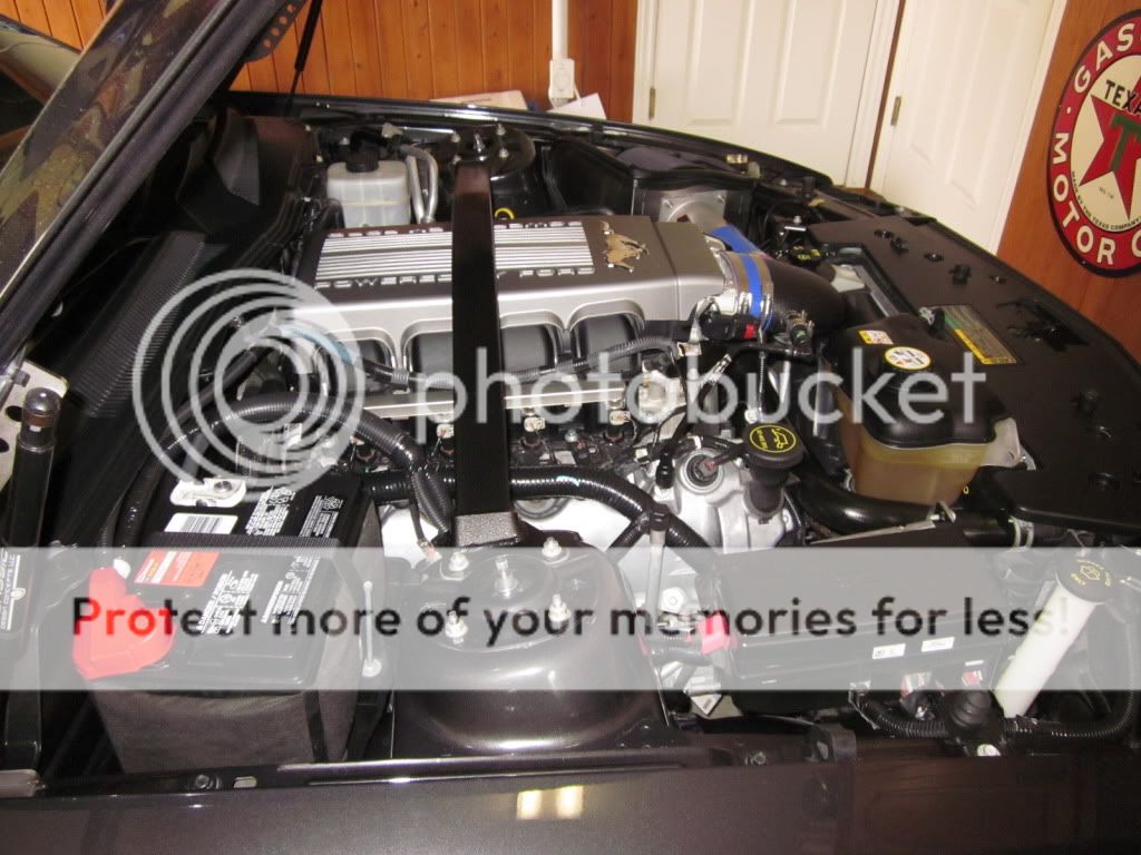 Cleaned the engine bay | S197 Mustang Forum - S197Forum.com