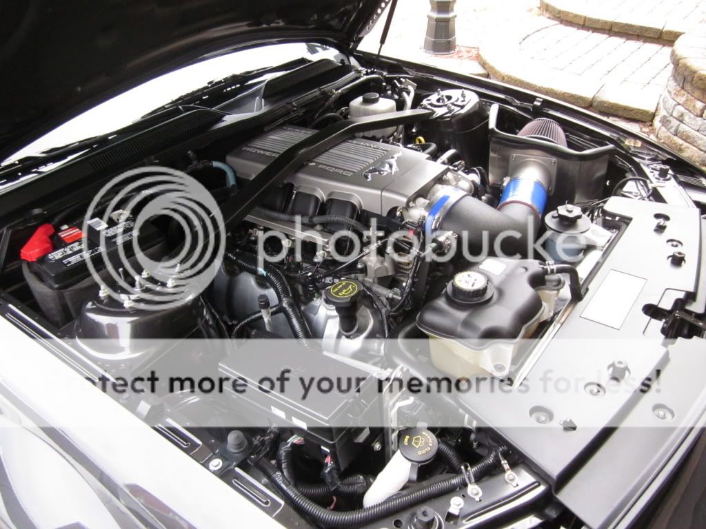 Cleaned the engine bay | S197 Mustang Forum - S197Forum.com