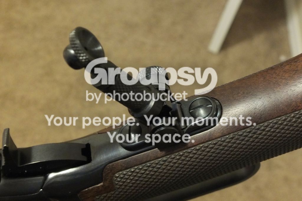 Marbles tang sight installed | Rimfire Central Firearm Forum