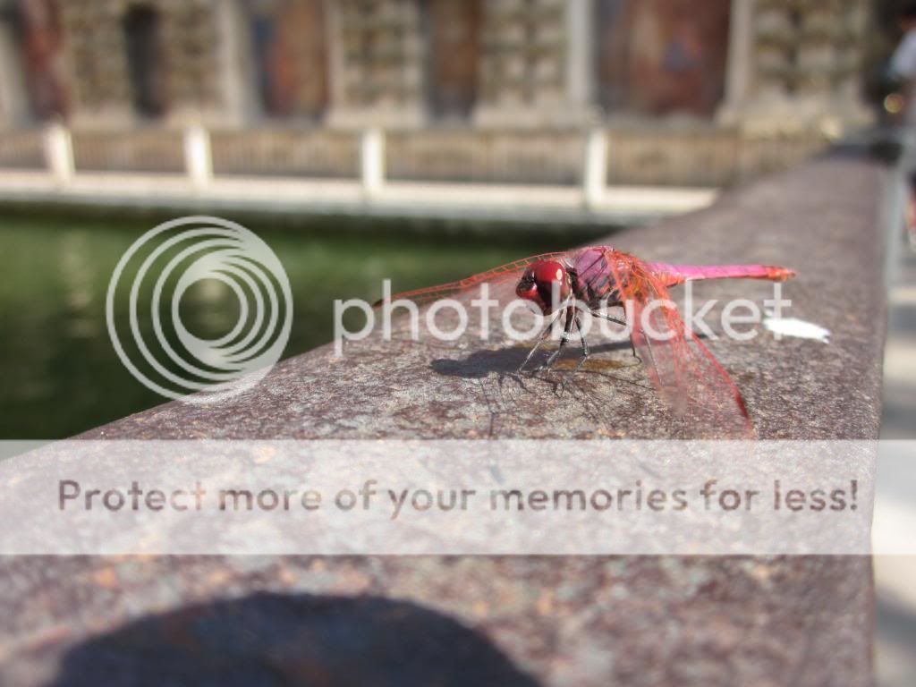 Wow !! | Rods 'n' Sods - UK Hot Rod & Street Rod Forums