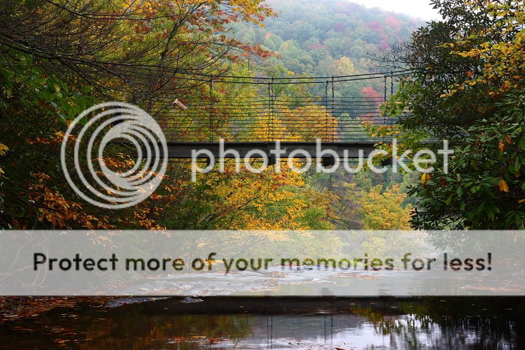 Raven Cliff Part II – Views from the Hike | Palmetto Cove