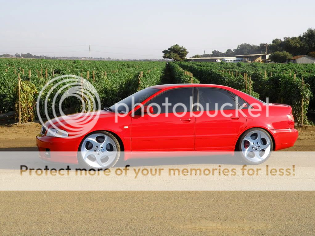 FEELER: FS/FT Mercedes Benz Alphards for... | VW Vortex - Volkswagen Forum