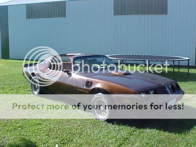 1979 W72 Pontiac Firebird Trans Am | Firebird Nation